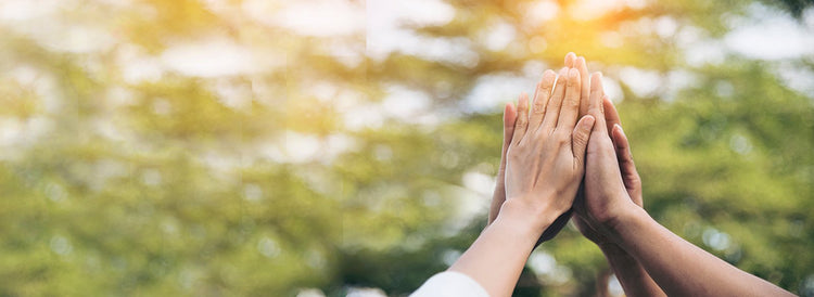 Colecciones – Teleduc